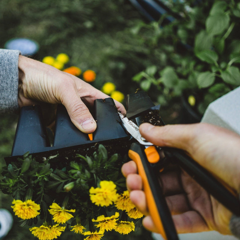 Shop Shelter Institute Tools · Shelter Institute